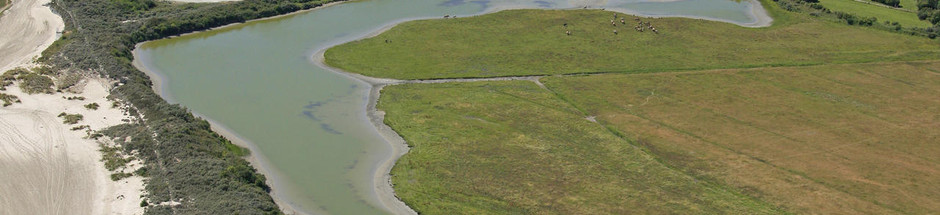 Les animations - Conservatoire du littoral