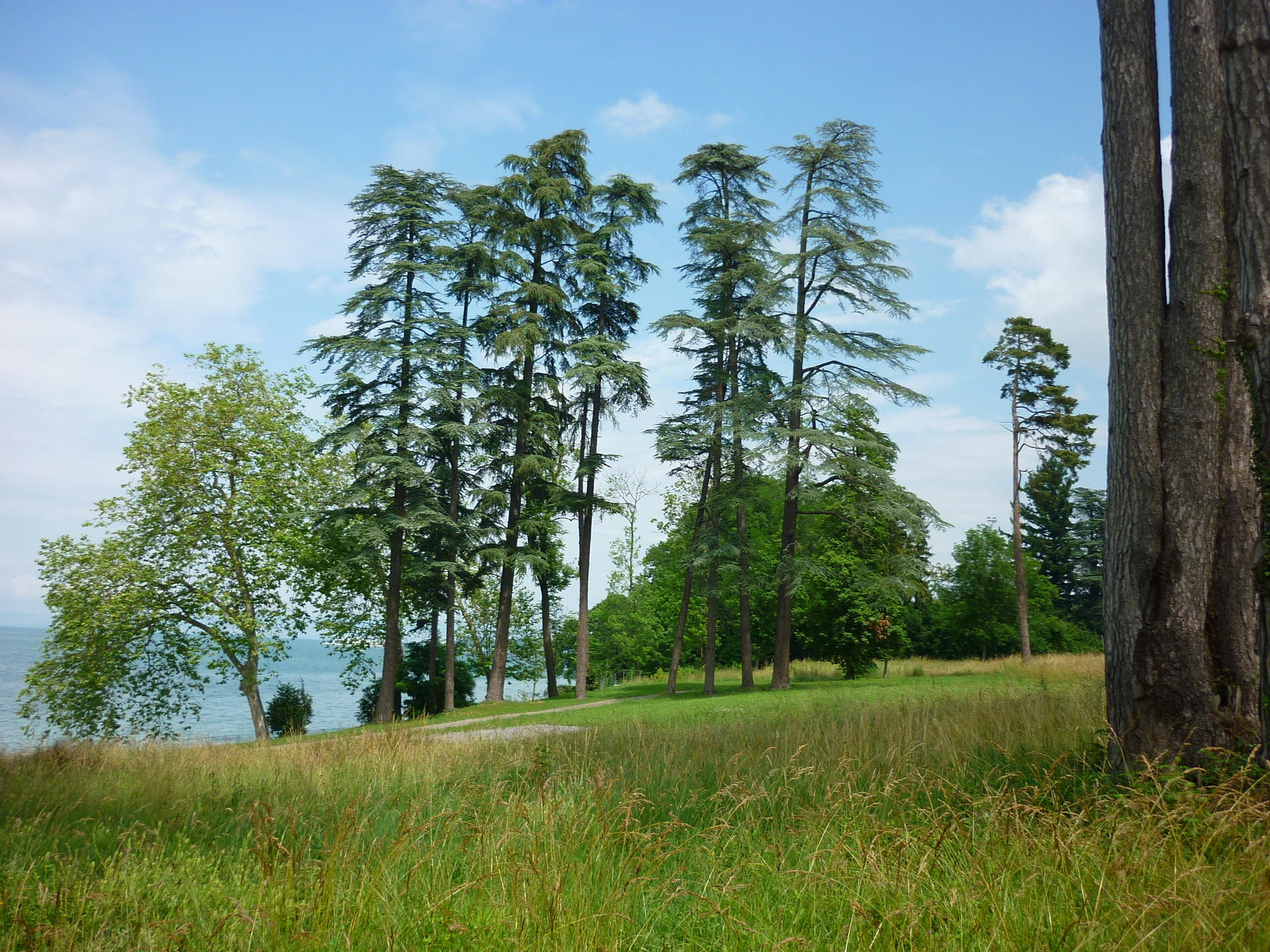 CORZENT - Conservatoire du littoral